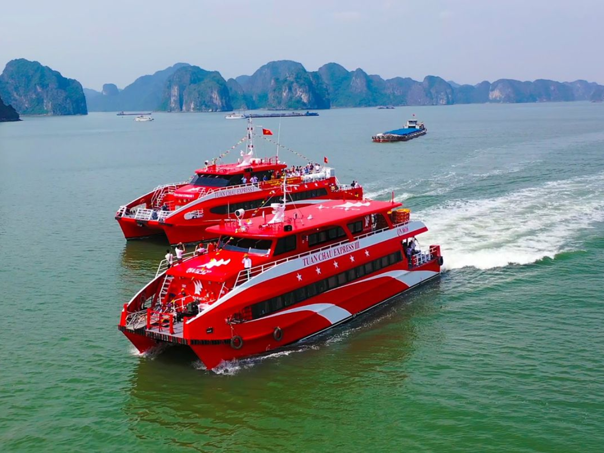 Co To Tet Holiday Travel Tips for First-Time Visitors